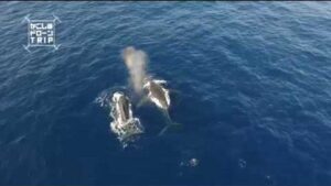 MBCテレビに関する記事一覧