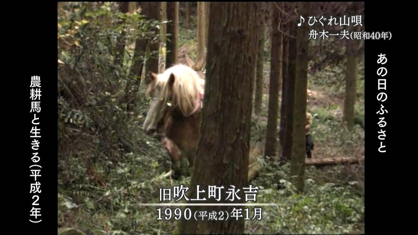 消えゆく農耕馬とともに生きる 吹上町（1990） | MBCブログ