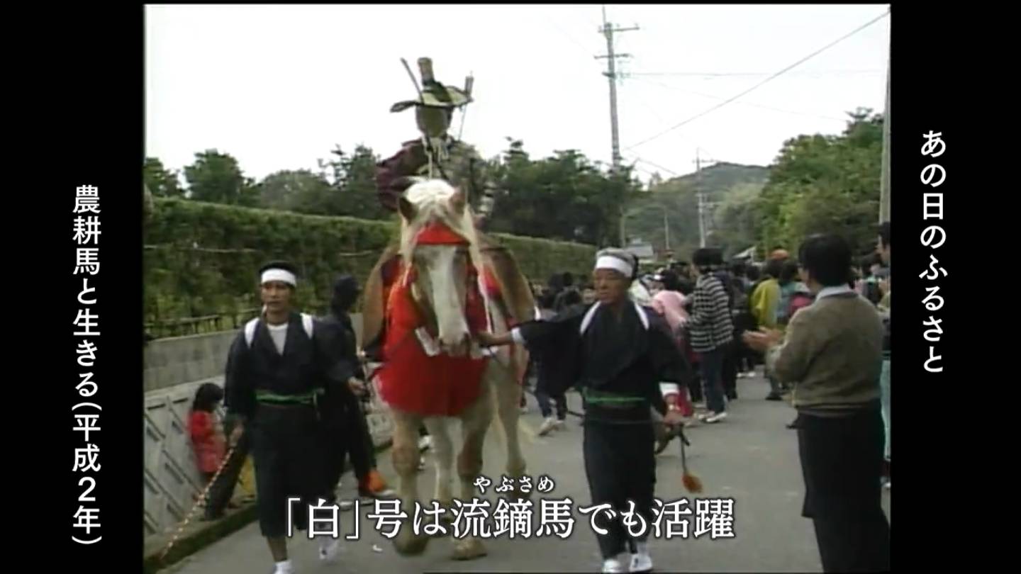消えゆく農耕馬とともに生きる 吹上町（1990） | MBCブログ