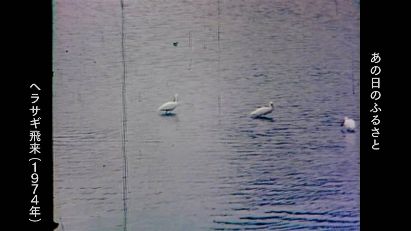 愛鳥週間 旧野田町・鹿児島市・出水市（1990・1974・1963） | MBCブログ