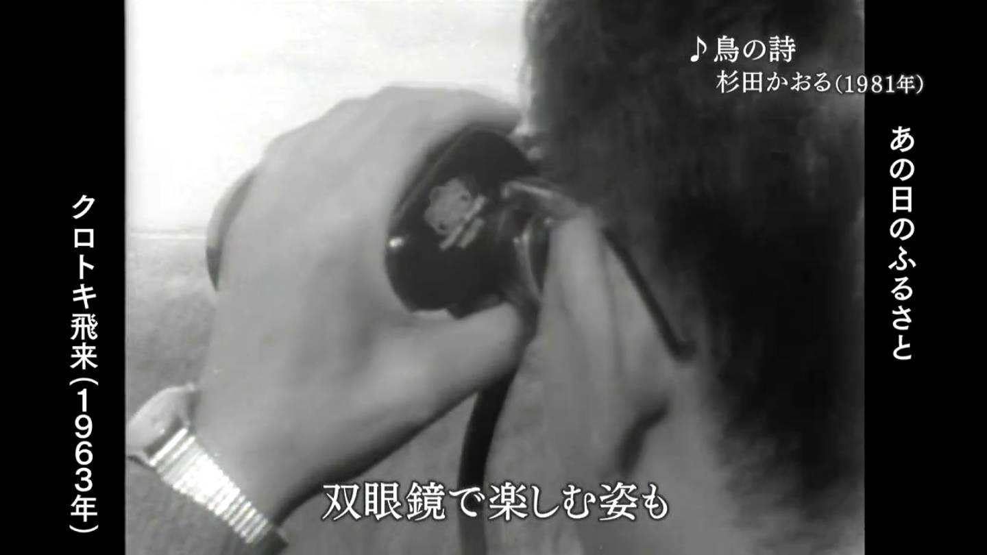 愛鳥週間 旧野田町・鹿児島市・出水市（1990・1974・1963） | MBCブログ