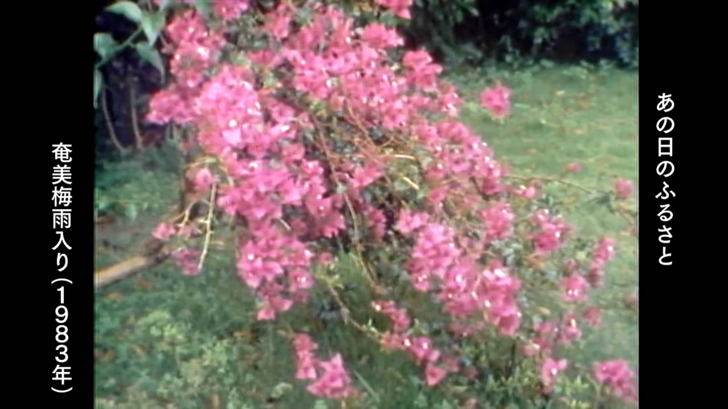 奄美梅雨入り 旧名瀬市（1990・1983） | MBCブログ