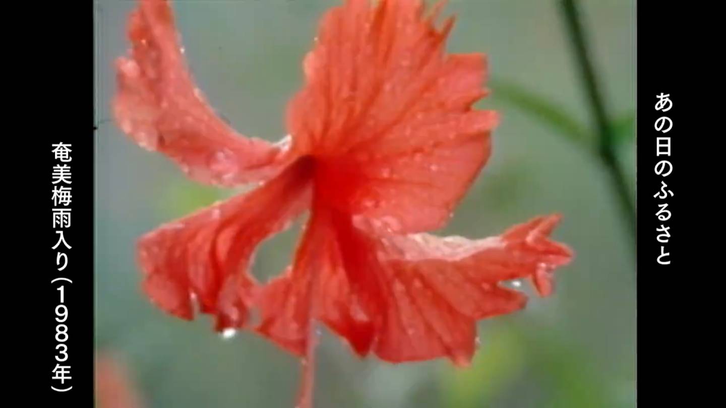 奄美梅雨入り 旧名瀬市（1990・1983） | MBCブログ