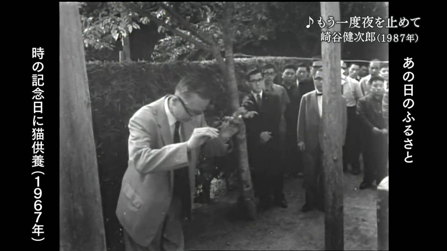 時の記念日 鹿児島市（1991･1983･1967） | MBCブログ