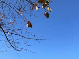 74 春夏冬二升五合」風の歳時記 | MBCブログ